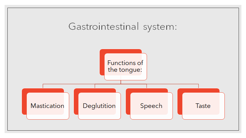 Gastrointestinal system (New) - Phlebotomy Career Training