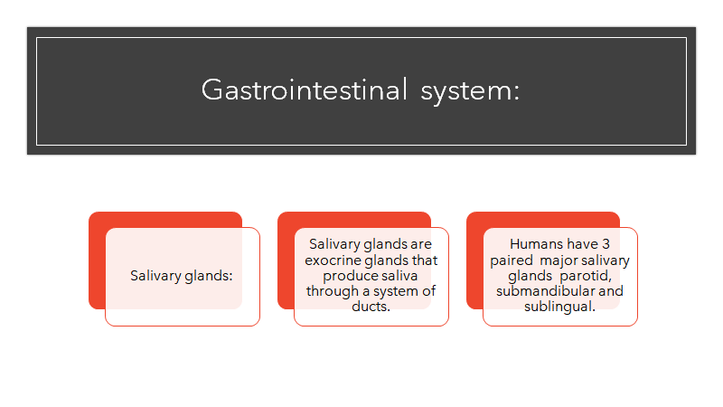 Gastrointestinal system (New) - Phlebotomy Career Training