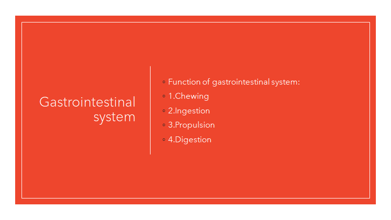 Gastrointestinal system (New) - Phlebotomy Career Training