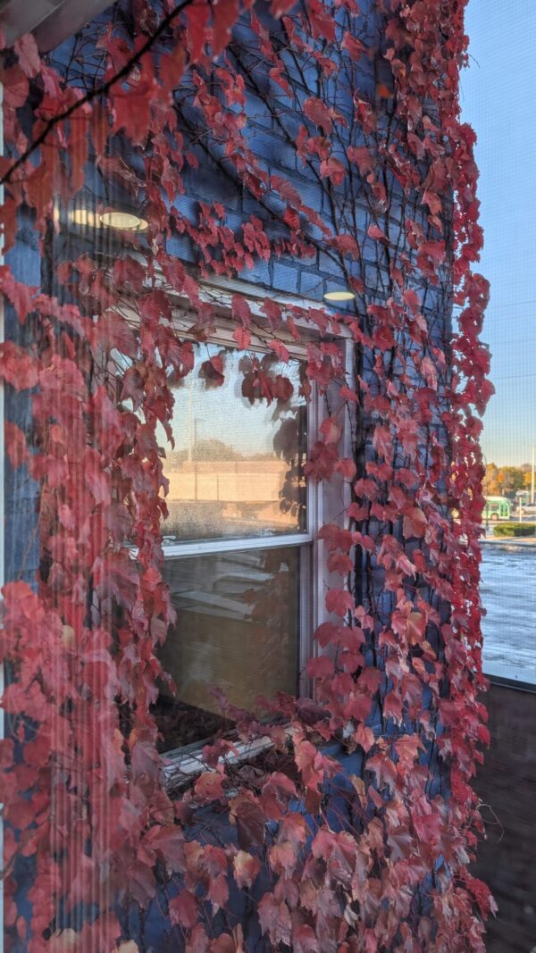 Welcome to Moodle – Your New Digital Classroom - Phlebotomy Career Training